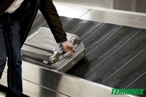 Terminix On Linkedin Commercial Bed Bug Treatment Terminix