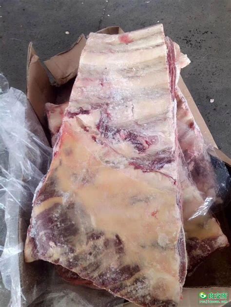 牛肋排8根肋批发天津市辖区牛肋排8根肋价格 肉交所