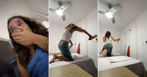 Se Grabó Mientras Intentaba Matar Una Cucaracha Pero Nada Salió Como