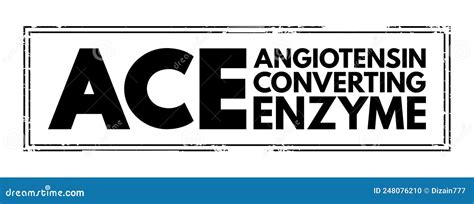 Ace Angiotensin Converting Enzyme Central Component Of The Renin