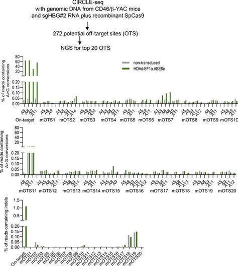JCI Insight In Vivo Base Editing By A Single I V Vector Injection For Treatment Of