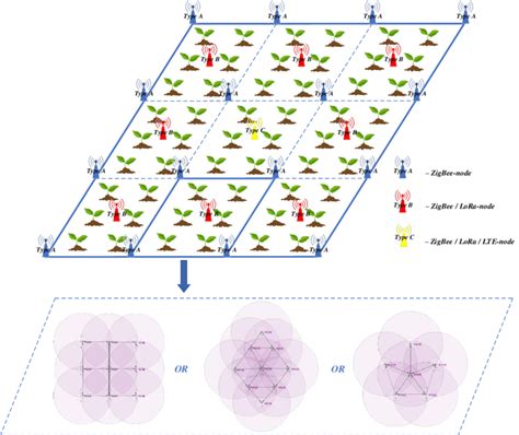 Detailed Structural And Functional Organisation Of The Download