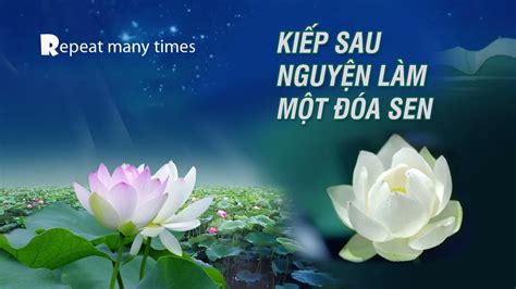 Kiếp Sau Nguyện Làm Một Đóa Sen Lặp lại n lần Nhạc Cổ Phong Lời