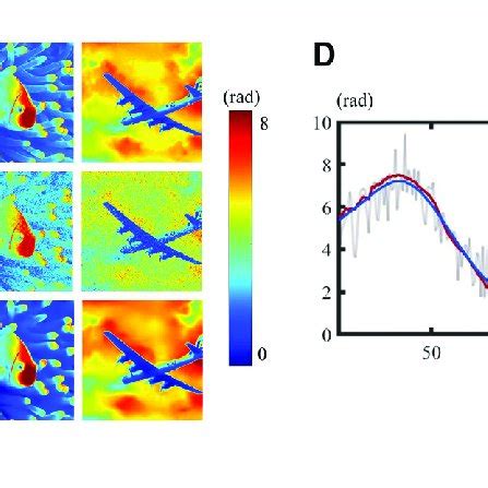 The Schematic Diagram For The Label Free Coherent Noise Suppression In Download Scientific
