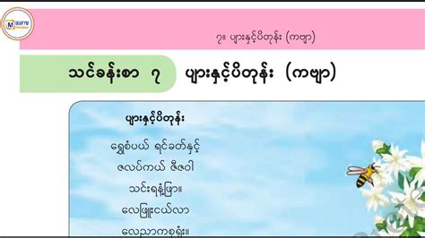 Grade 4 Burmese သင်ခန်းစာ၇ ပျားနှင့်ပိတုန်း ကဗျာ Myanmar New Curriculum Youtube