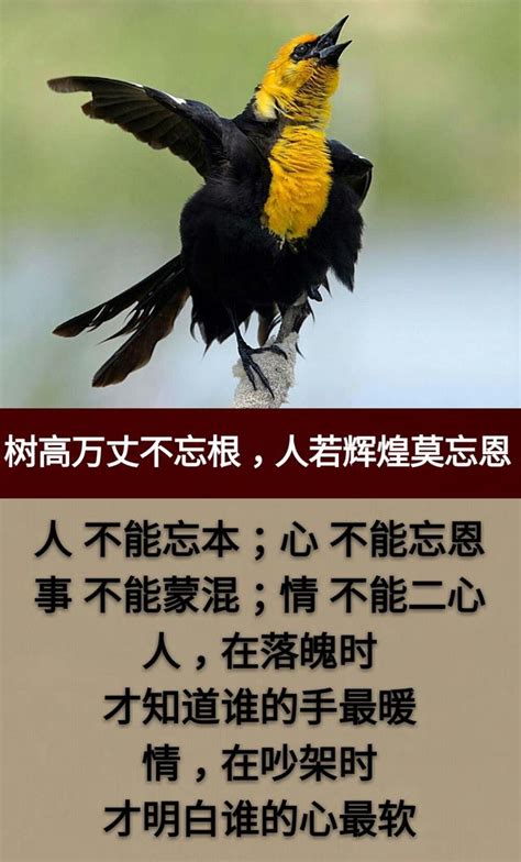 行就腳踏實地站就頂天立地活就無愧天地 每日頭條