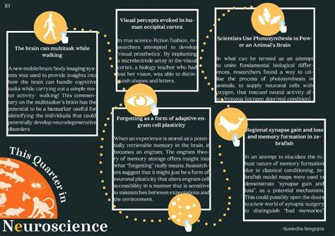 Project Encephalon On Linkedin Neuroletter