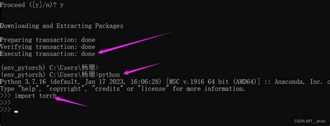 Import Torch 出错 Csdn博客