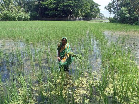 Milon Kumar Das Saferworld