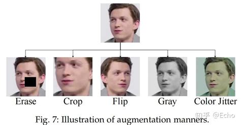 文献阅读 2024 Tpami：fully Unsupervised Deepfake Video Detection Via Enhanced Contrastive Learning 知乎