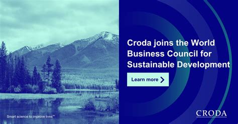 Sustainability Innovation Wbcsd Naturepositive Beth Van Emburgh