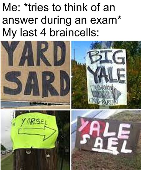 My Last 4 Braincells R Memes