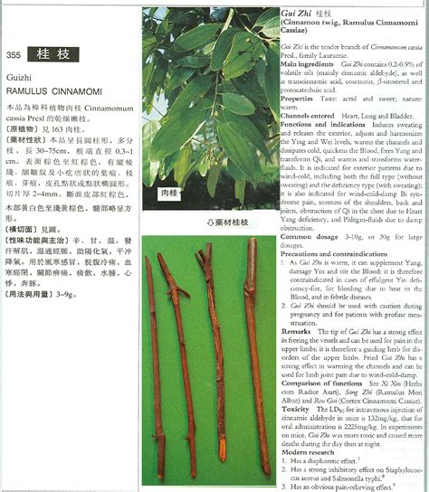 Online Gui Hua Hu [1991] Movies Pro Masterneat