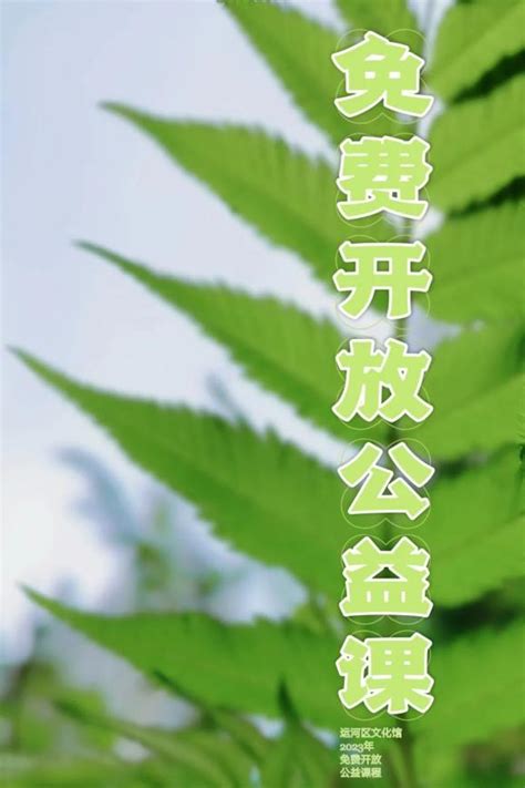 夏韵悠长 艺术绽放——运河区文化馆夏季免费开放公益课招生啦！澎湃号·政务澎湃新闻 The Paper