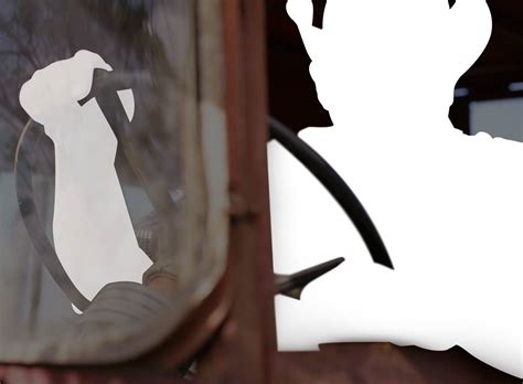 Campaign 2017 · Break Dengue