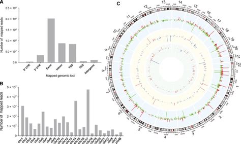 Profiling Expression Of Coding Genes Long Noncoding Rna And Circular