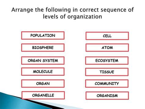 Organisms Levels Of Organization Grade Sevenpptx