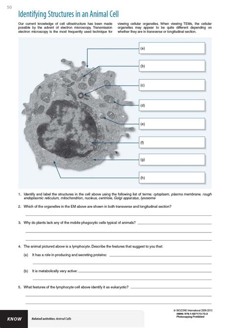 Cell Biology And Biochemistry Modular Workbook Biozone