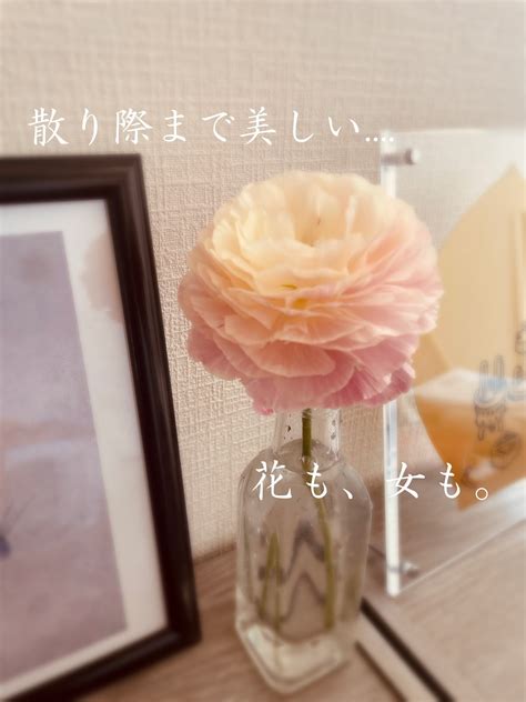 散り際まで美しいものたち。｜セックスコンサルタントゆりえ大人小説家｜note
