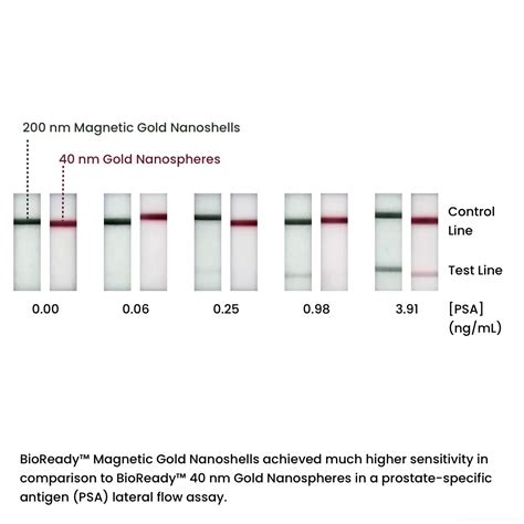 200 Nm Bioready Magnetic Gold Nanoshells For Covalent Conjugation