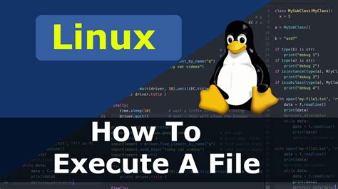 Linux How To Execute A File Youtube
