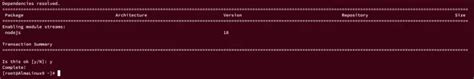 Different Ways To Install Node Js On AlmaLinux