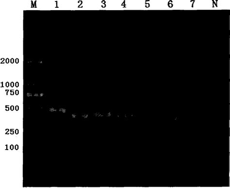 Pcr Sequencing Patented Technology Retrieval Search Results Eureka