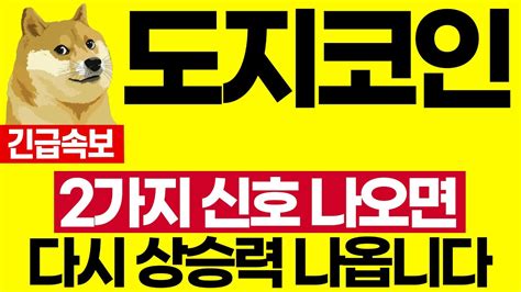 도지코인 상승 시그널 미리 알고계세요 Youtube