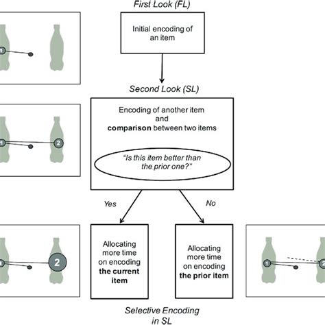A Schematic Representation Of Selective Encoding In The 2afc Paradigm Download Scientific