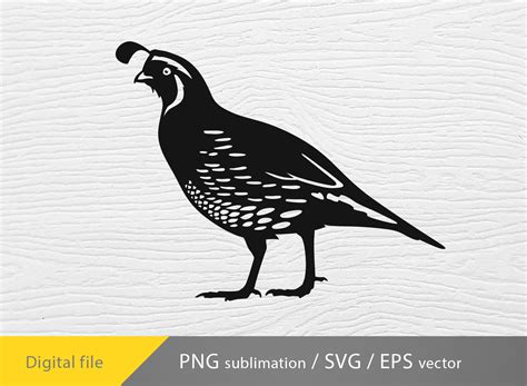 Quail Svg Quail Bird Silhouette Quail Png Etsy
