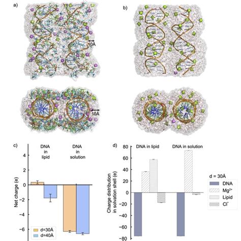 Solvation Shell Charge Analysis A Graphical Representation Of The Dna