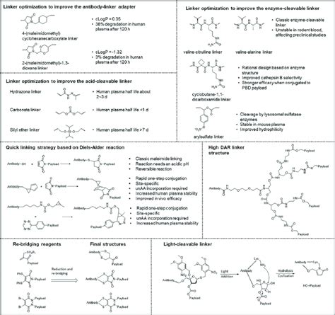 The Chemical Structures And Characteristics Of New Linker Technologies