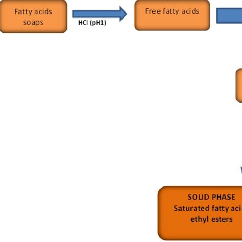 C Cohnii Biomass Saponification And Fatty Acid Ethyl Esters