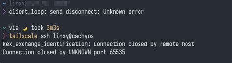 Windows Tailscale Client V1520 Will Broken After Connecting To Other