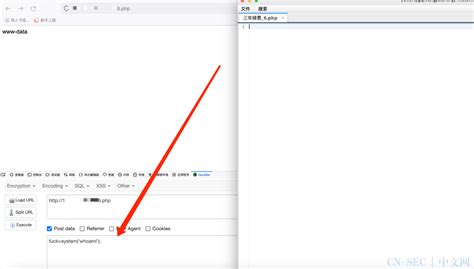 劫持php内核函数实现后门持久化的研究 Cn Sec 中文网