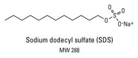 Sodium Dodecyl Sulfate Sds Lauryl Thermo Fisher Scientific