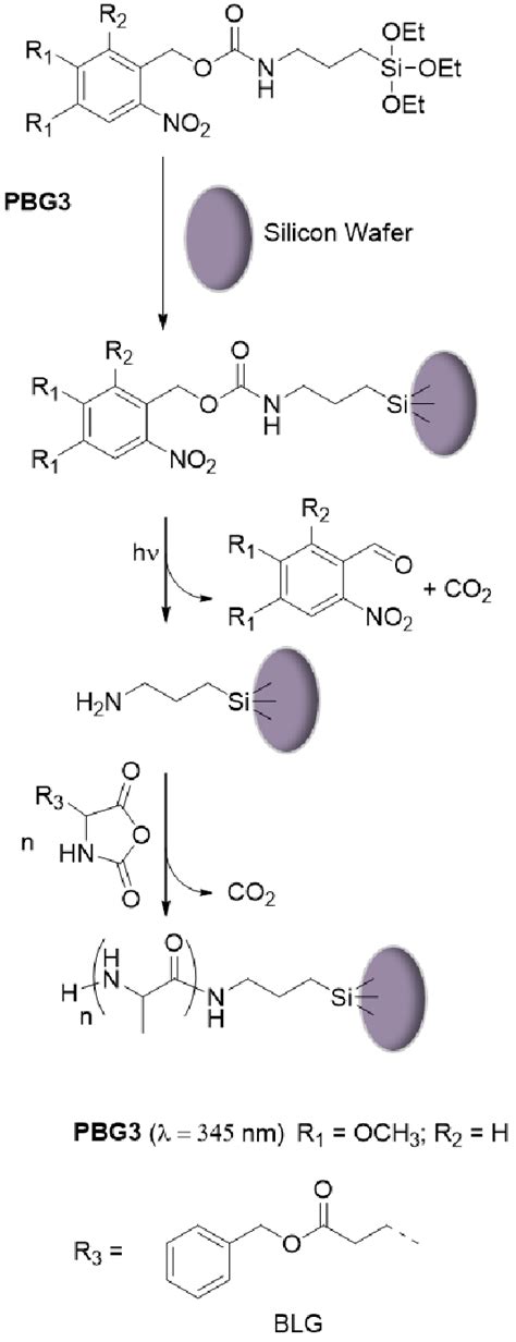 Scheme 55 Surface Grafting Of Polypeptides By Photorop Of