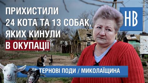 НикВести — Новини Миколаєва