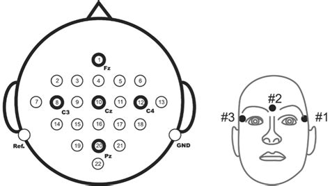 Montage Of The BCI Competition Dataset Download Scientific Diagram