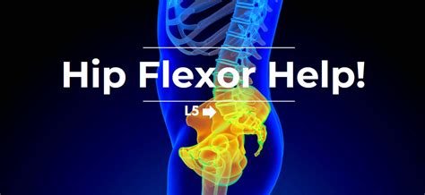Hip Flexor Help Throw Javelin