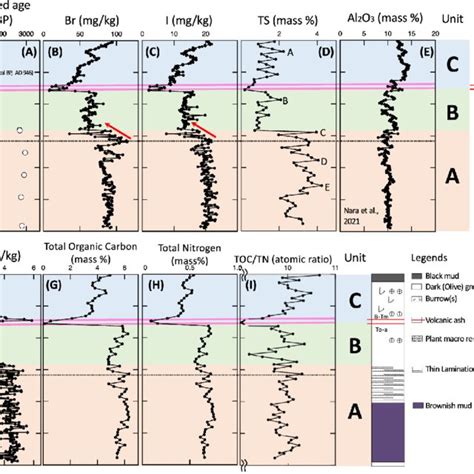 a age model calibrated using the ages of plants toc and b tm plot