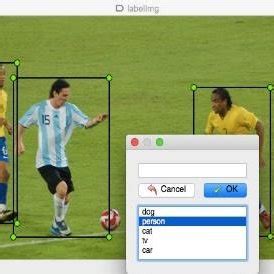 Labelimg And Vgg Image Annotator Via Labeling Tools