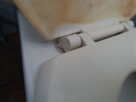 변기커버 교체방법 셀프교체 대형 특대형 변기커버사이즈