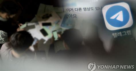 여학생 나체 딥페이크 합성사진 대학생 채팅방서 공유