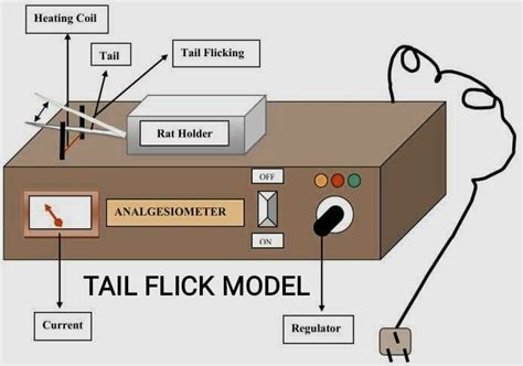 Tail Flick Model Apparatus 6 Download Scientific Diagram