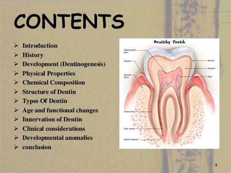 Dentin