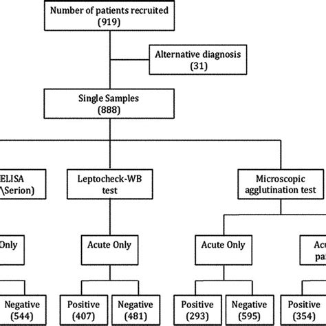 Prevalence Sensitivities Specificities And Positive And Negative Download Table