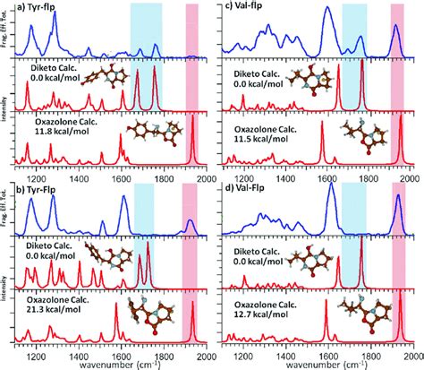 Experimental Ir Spectra Blue Of B 2 Ions From A Tyr Flp Ala B