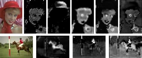 figure 1 from sensitivity decouple learning for image compression