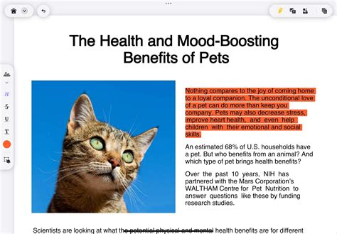 How To Highlight PDF IPad Easy Guide For You UPDF